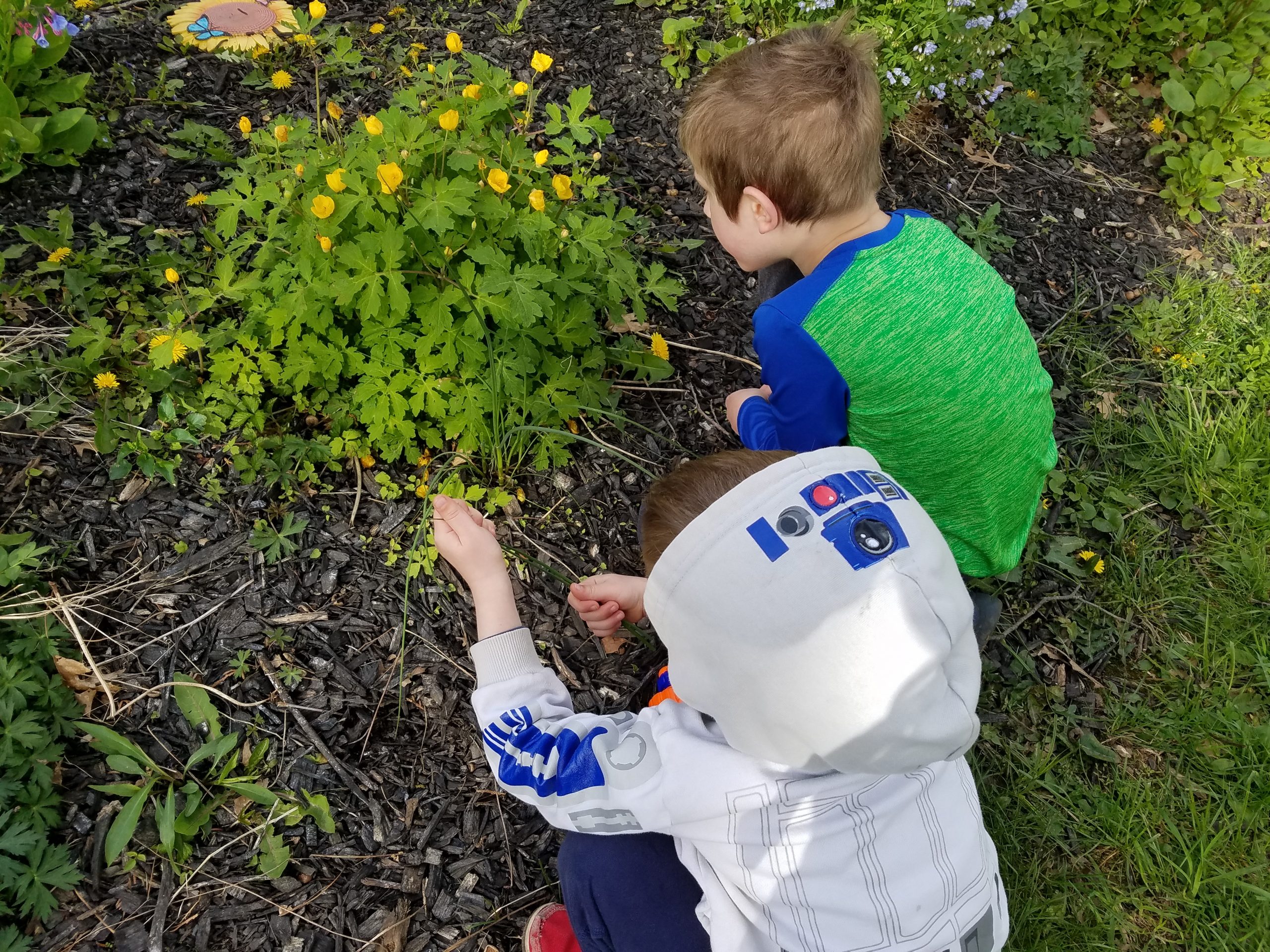 At Home with Nature - Heritage Conservancy