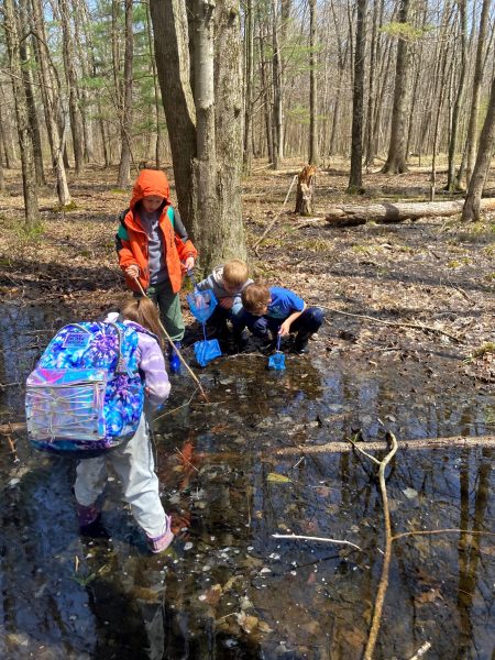 Habitat Exploration at Quakertown Swamp Preserve - Heritage Conservancy