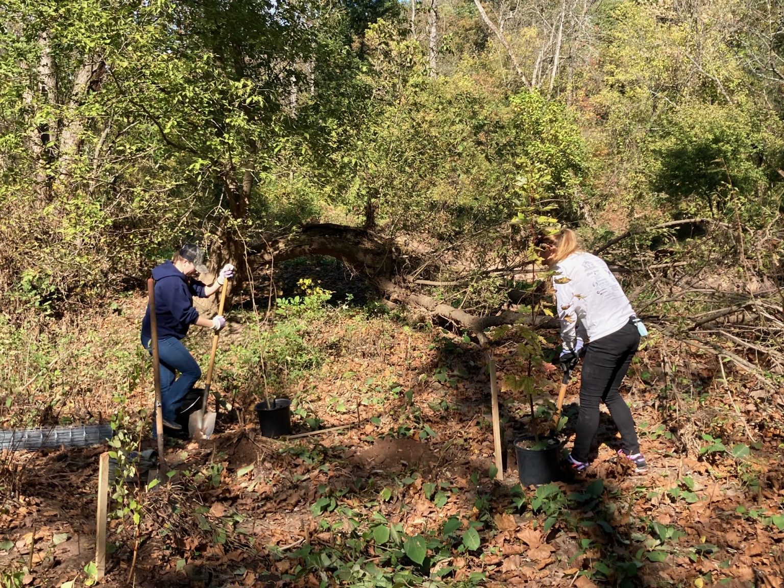 Tree Planting at Russell-Mandel Preserve - Heritage Conservancy