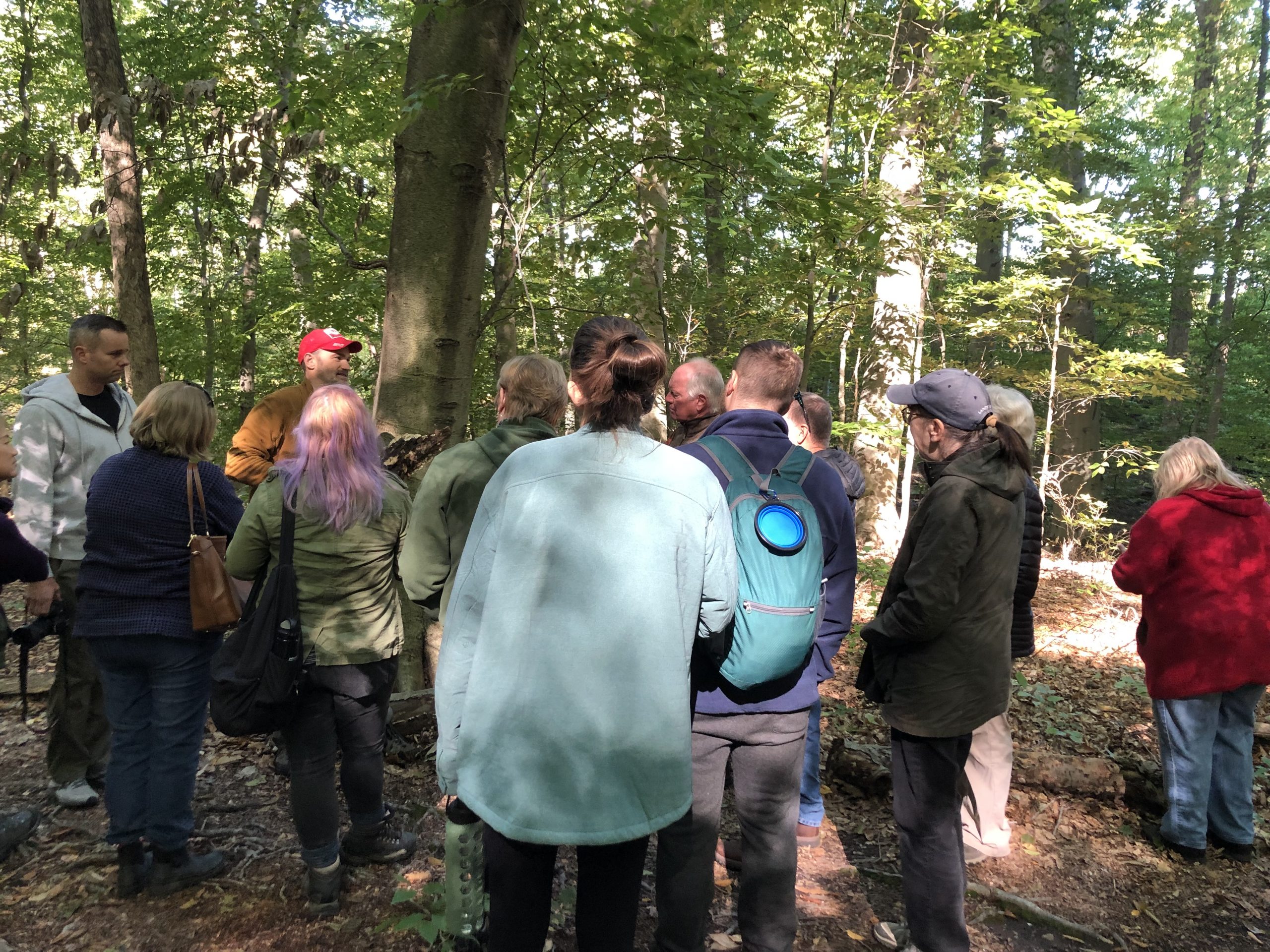 Fall Mushroom Hike at Hart's Woods Nature Preserve With Luke Smithson ...