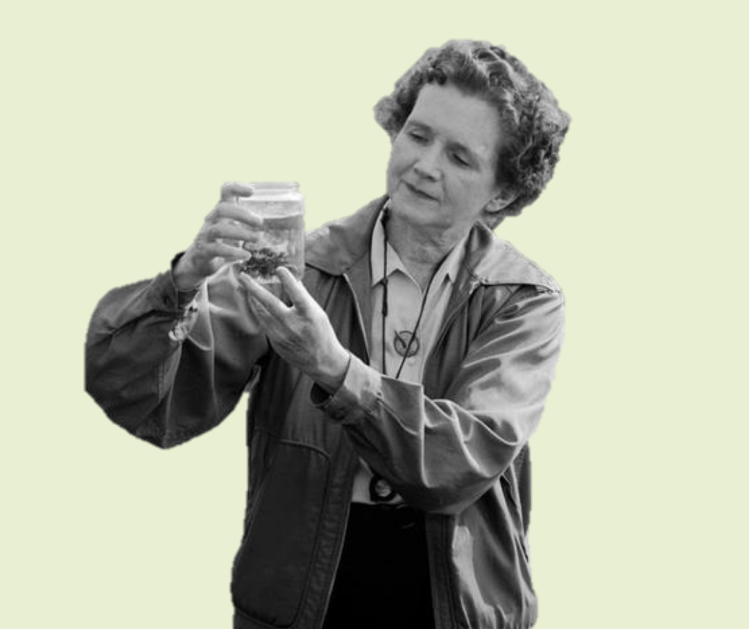 Celebrating Women's History Month: Four Influential Environmental ...