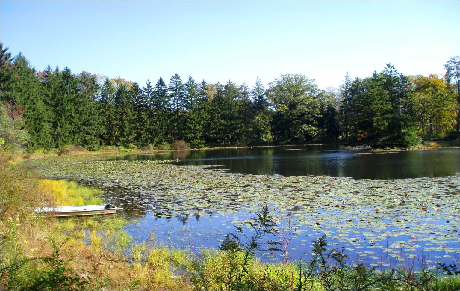 Fridays in the Forest Workday: Quakertown Swamp Preserve - Heritage ...
