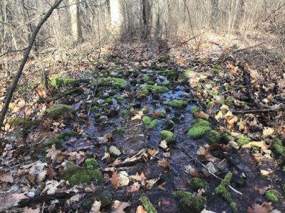 Seeps and Springs and Crawly Things - Heritage Conservancy